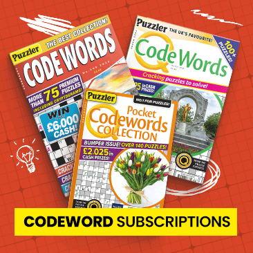 Puzzle Magazines and Subscriptions | Puzzler®