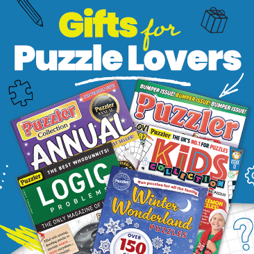 Gifts for puzzle lovers | Best puzzle gifts